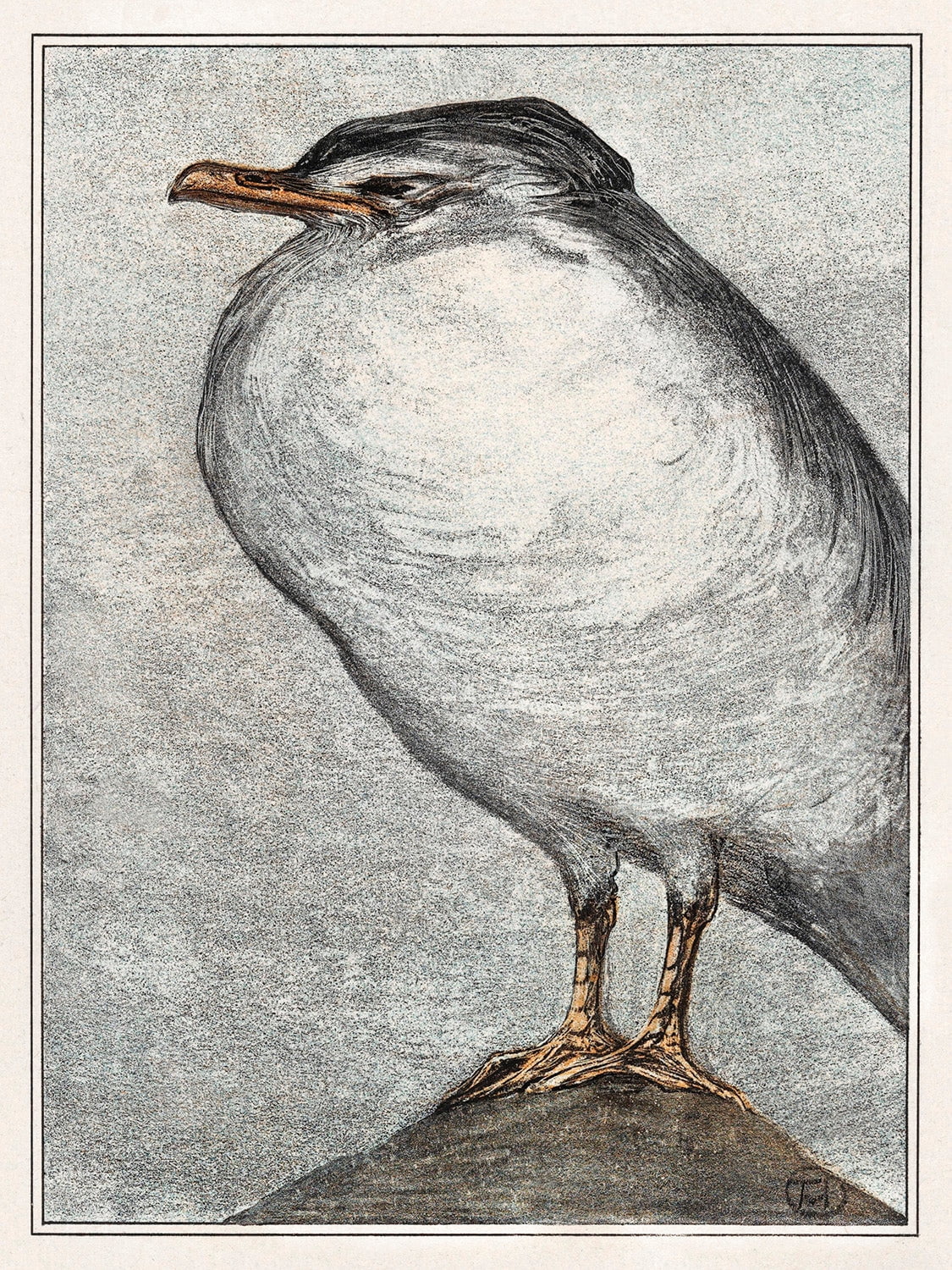 Zilvermeeuw by Theo van Hoytema - 12" x 18" Art Print Wall Decor ...