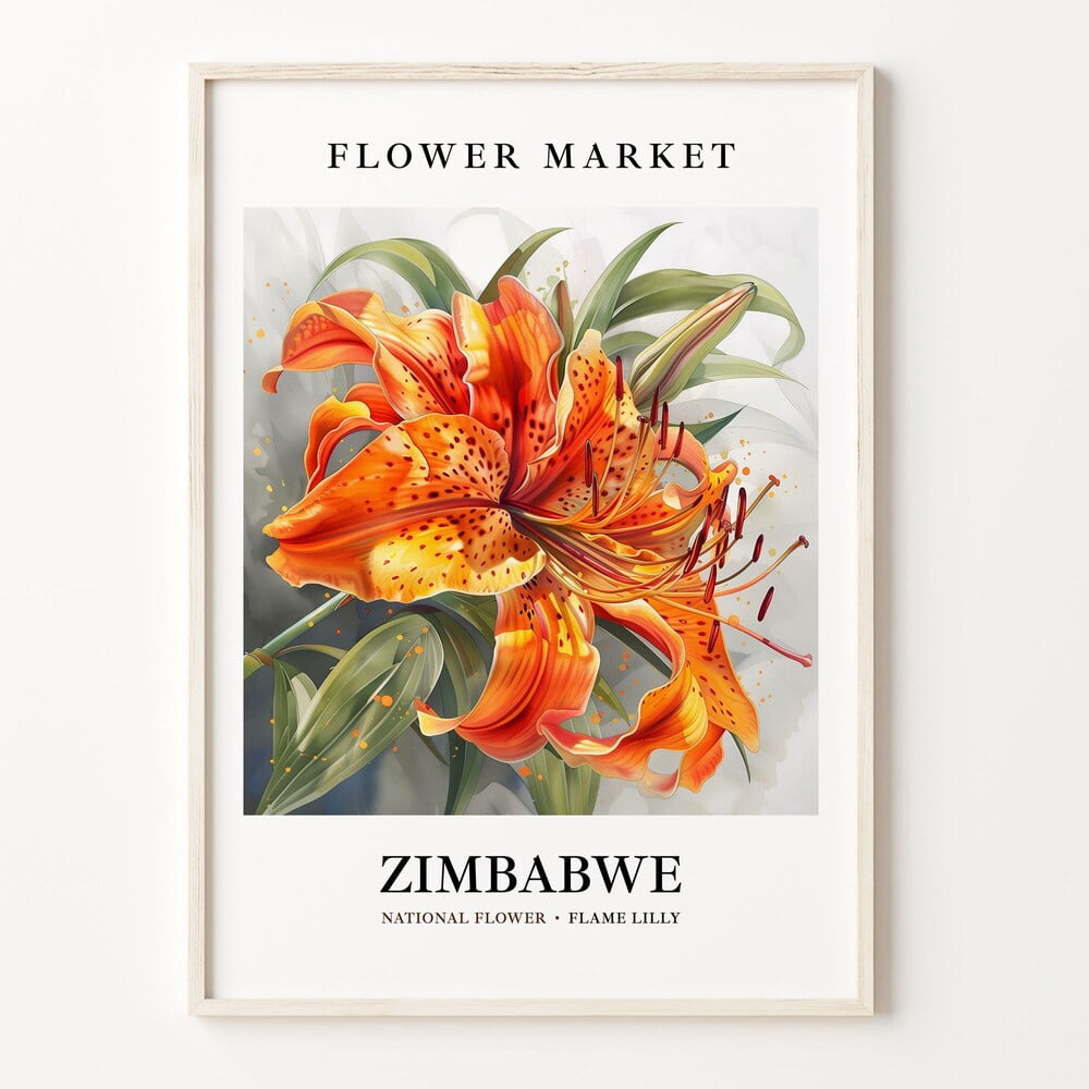 Zimbabwe National Flower Art Print, 1960S Flame Lily Wall Art, Neutral ...