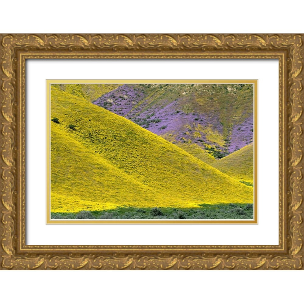 Zimmerman, Judith 14x11 Gold Ornate Wood Framed with Double Matting ...