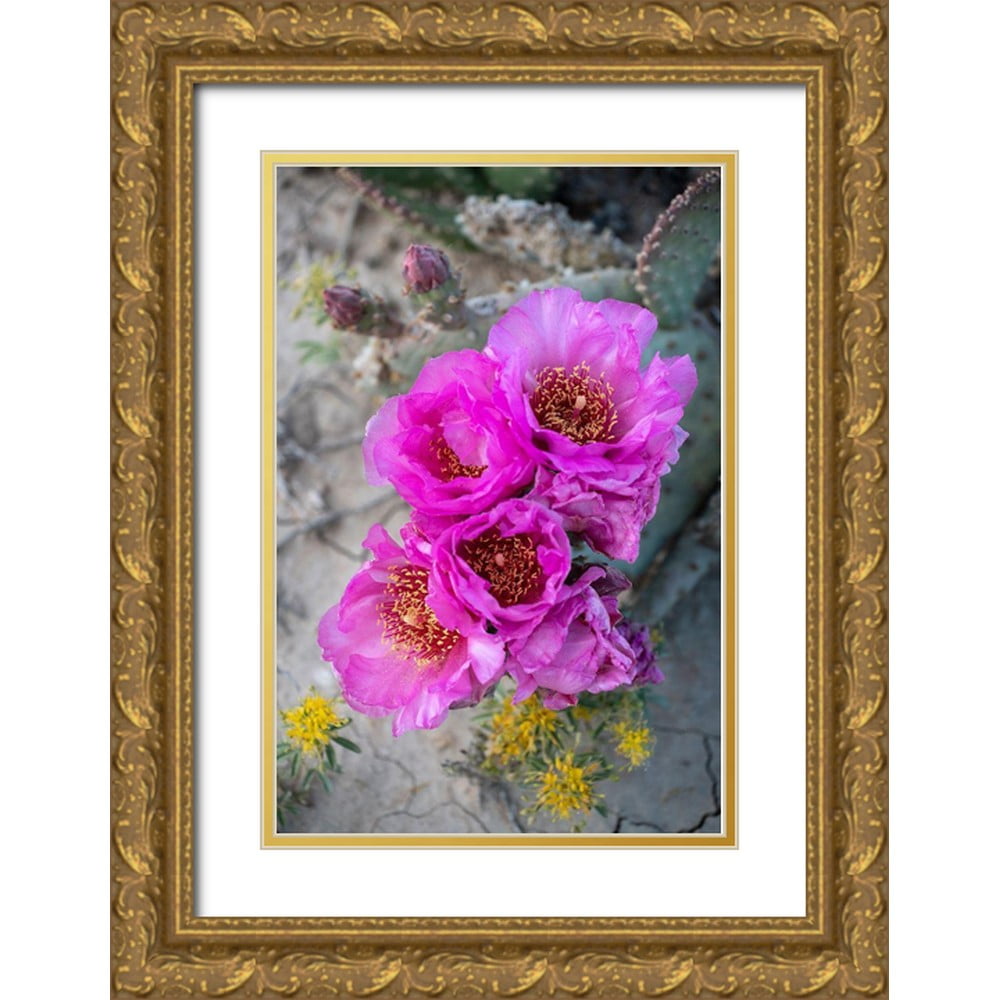 Zimmerman Judith 17x24 Gold Ornate Wood Framed With Double Matting