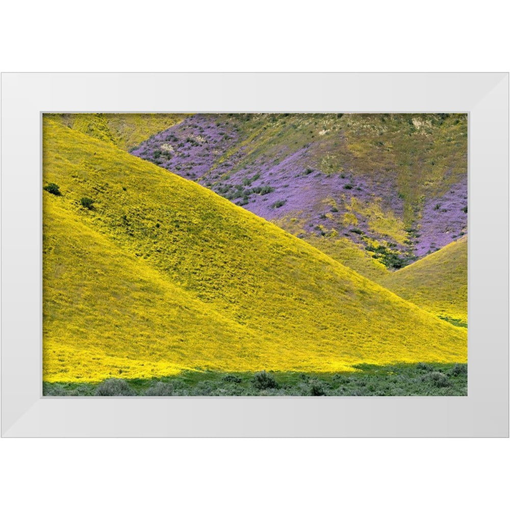 Zimmerman, Judith 24x17 White Modern Wood Framed Museum Art Print ...