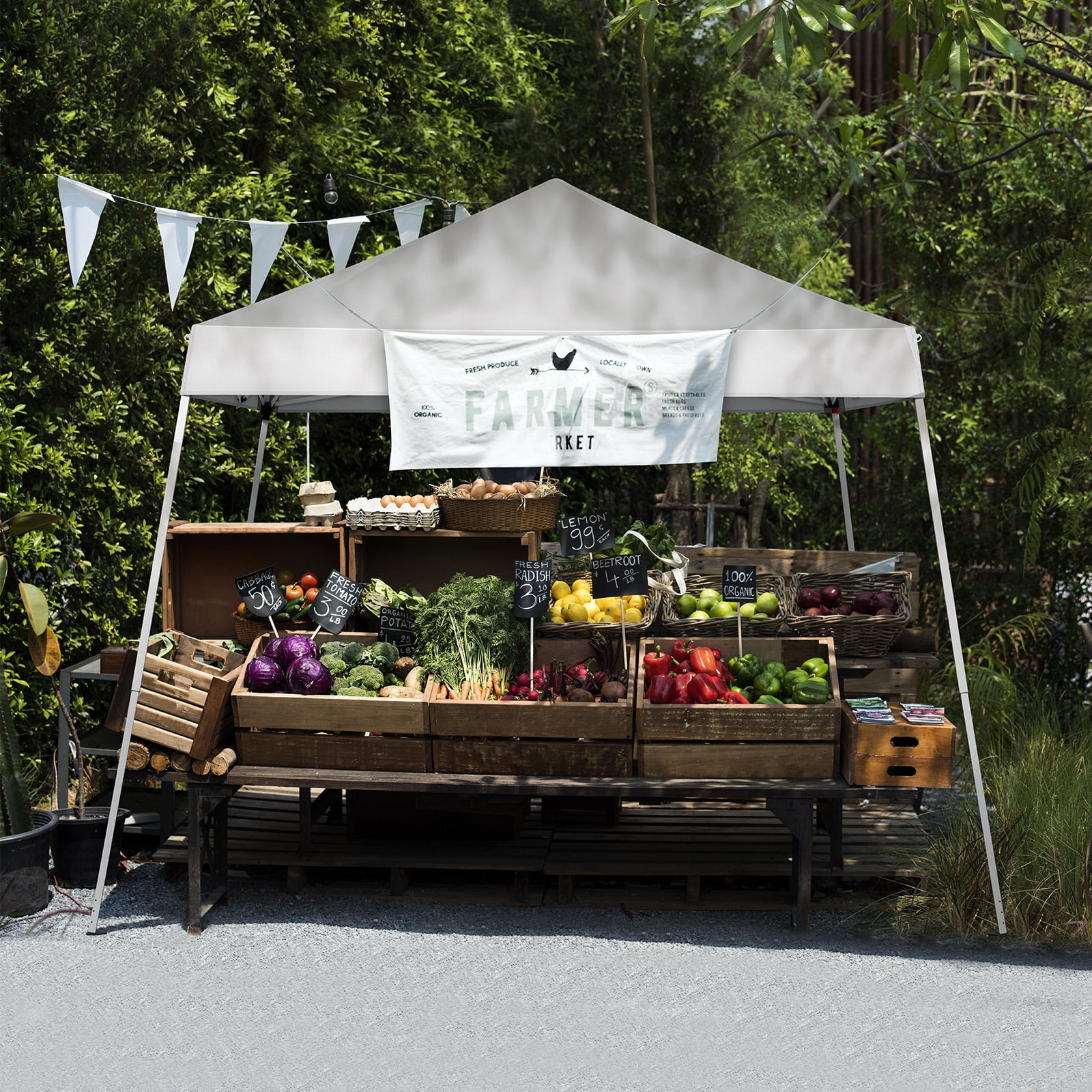 Zimtown 10ft x 10ft Outdoor Pop Up Waterproof Collapsible Canopy Tent ...