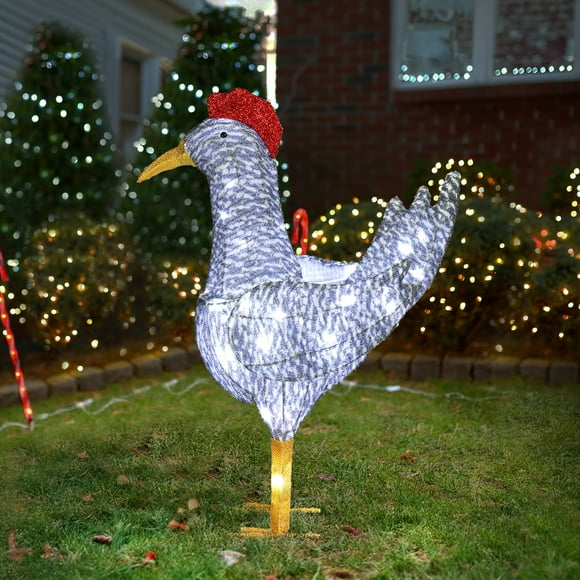 Led Chicken Lights