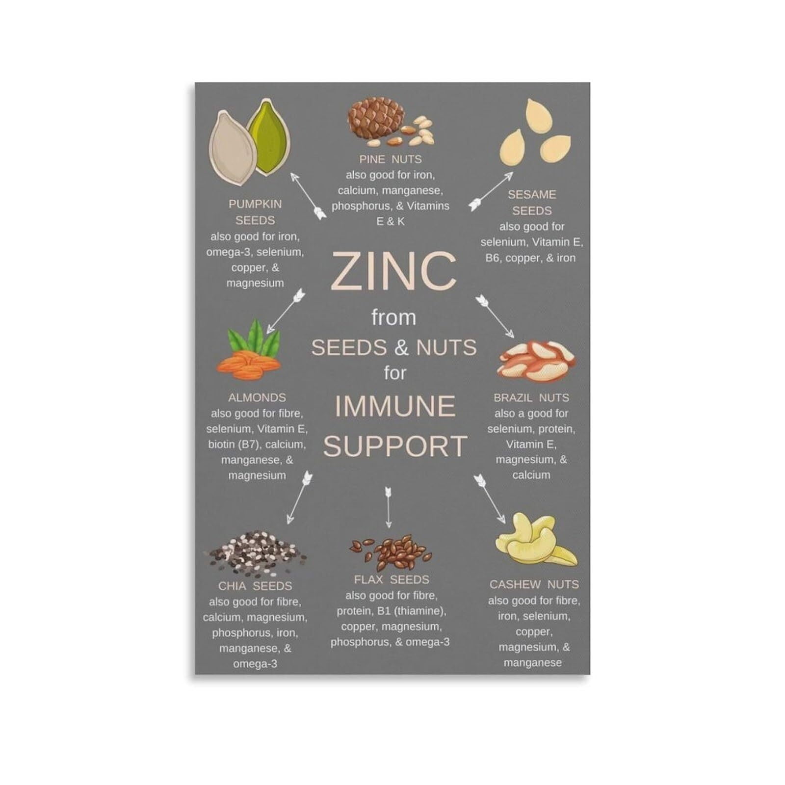 Zinc Form Seeds & Nuts Poster Canvas Wall Art Posters For Room ...