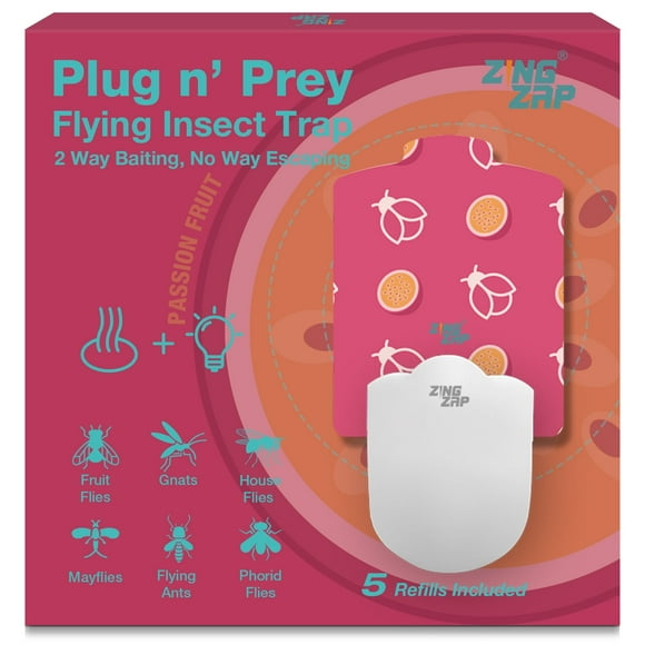 Fruit Fly and Gnat Traps in Fly - Walmart.com