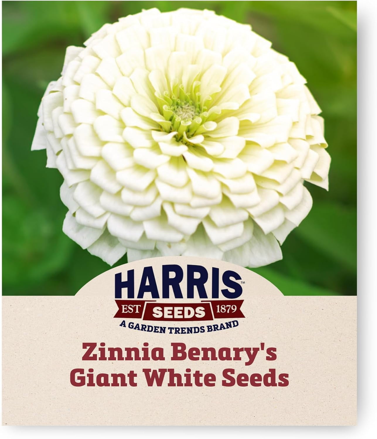 Harris Seeds - Zinnia Seeds - Benary's Giant White Colorful Flowers ...