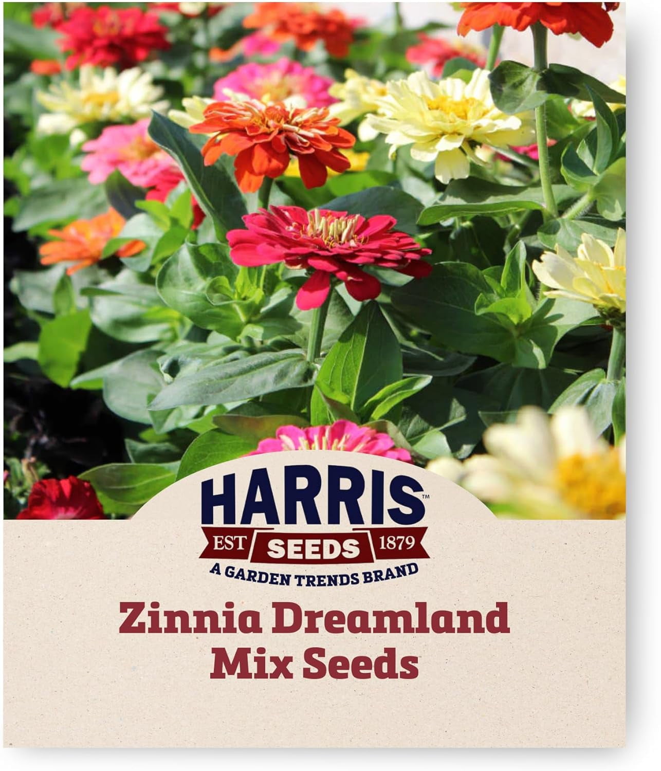 Harris Seeds - Zinnia Seeds - F1 Dreamland Mix Flower - Non-GMO - 1,000 ...