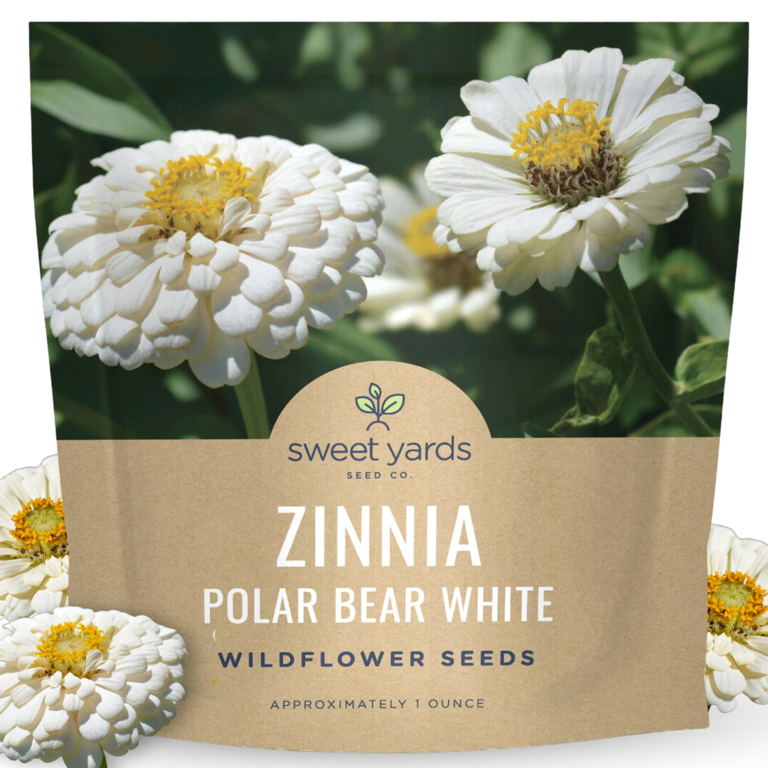 Zinnia Polar Bear White - Large ITL1 1 Ounce Packet - 4,000 Flower ...