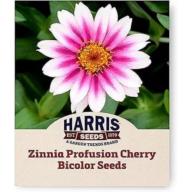 Harris Seeds - Zinnia Seeds Profusion Cherry Bicolor Flowers - 250 ...