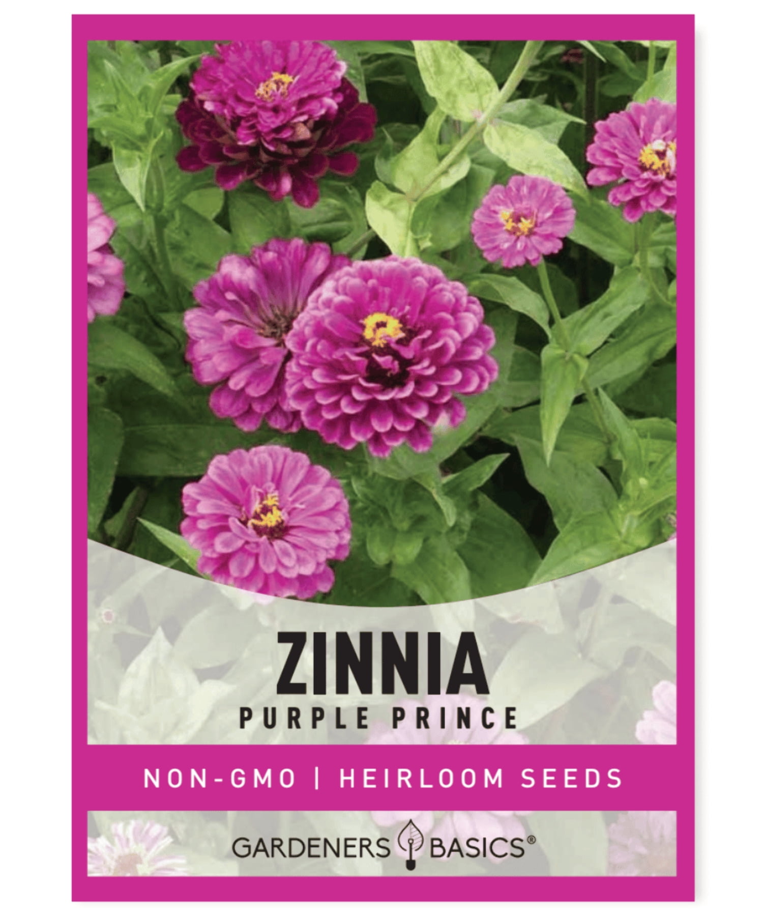 Zinnia Purple Prince Seeds - Walmart.com