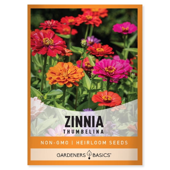 Profusion Zinnia Seeds