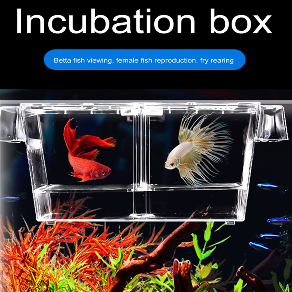 Zioy Fish Breeder Box with Suction Cups, Hang-on Nursery Fish Tank ...