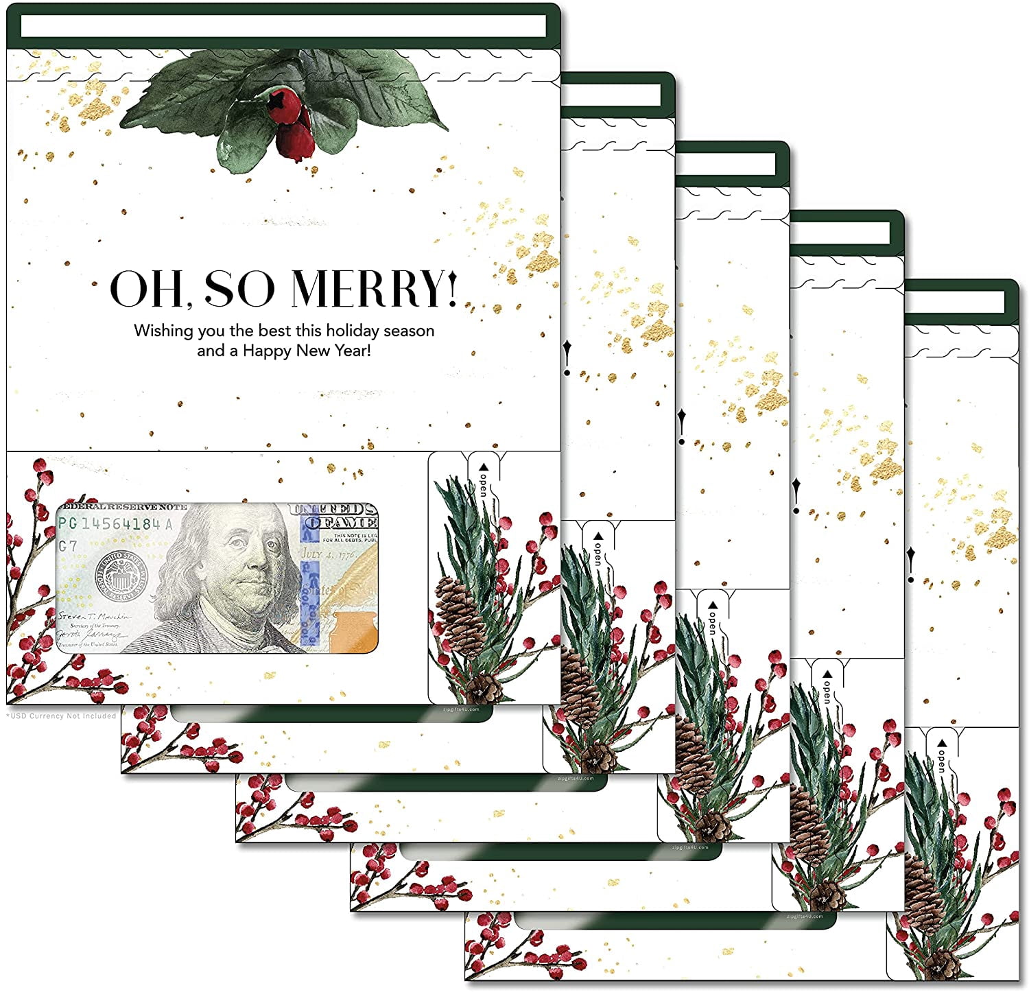 ZipGifts Holiday Card | Zip-Open Money Holder w/Clear Plastic Window ...