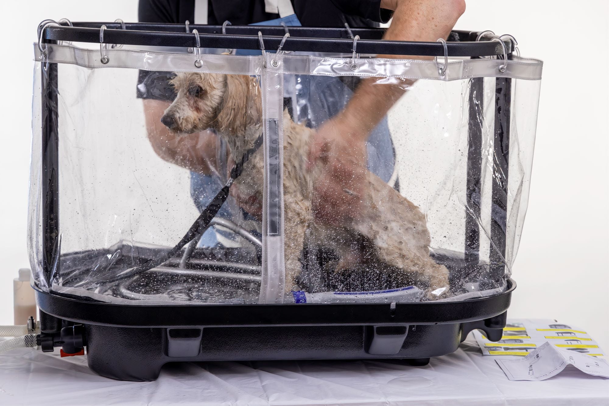 ZipSpa Pet Shower, Portable Bathing Unit for Small and Medium Dogs ...