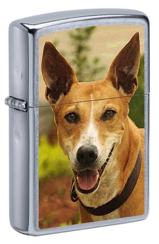 Zippo Pariah Dog Windproof Pocket Lighter - Walmart.com