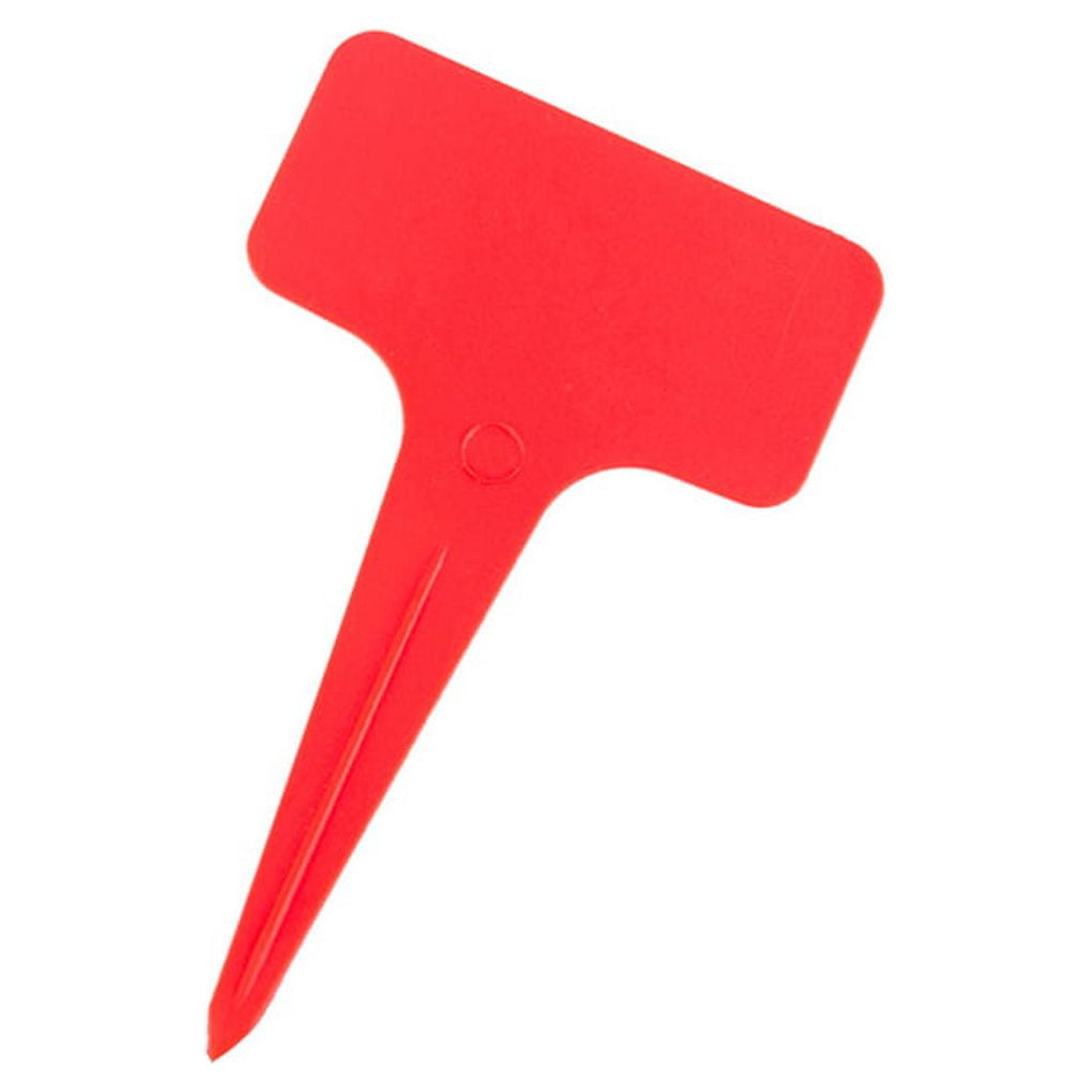 Ziuscore 50 Pieces Garden Labels Outdoor Indoor Backyard Farm ...