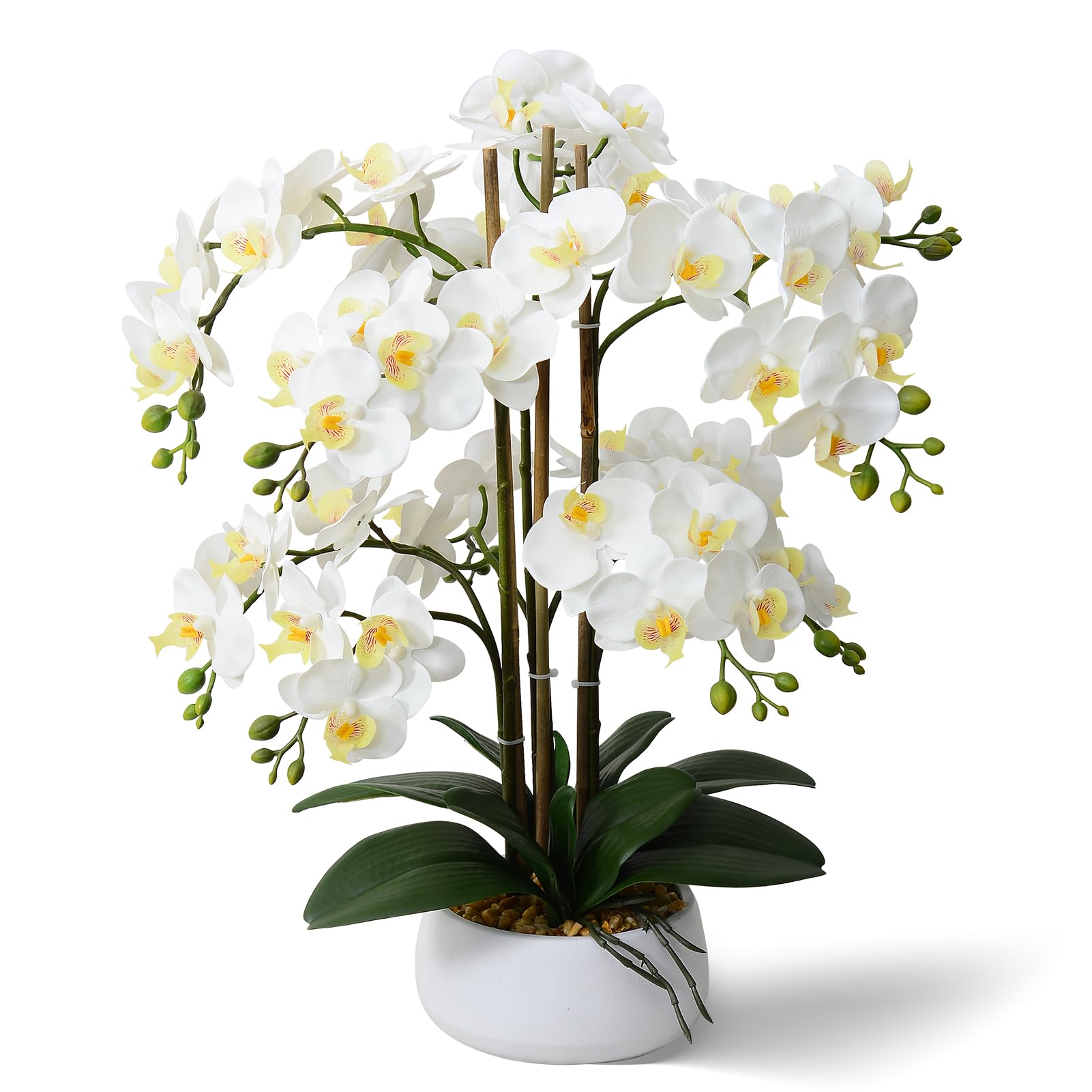 Ziwon Artificial Orchid Flowers & Plants Potted in Ceramic Pot, White ...