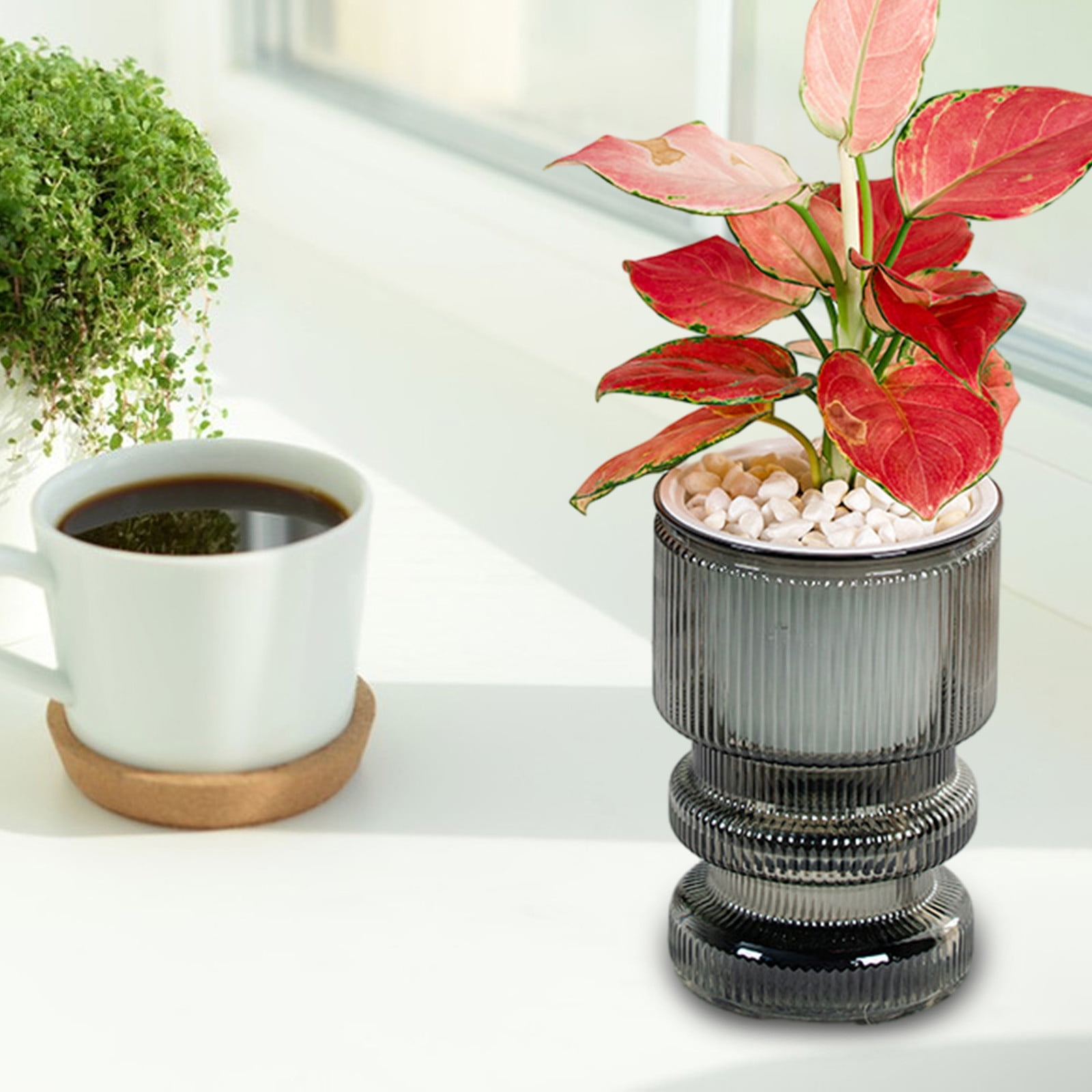 Ziynglg Self Absorbing Lazy Water Storage Plant Pot for Indoor Desktop ...