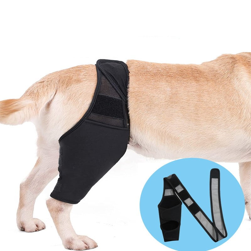 Zjrui Dog Knee Brace Dog Leg Brace for Torn acl Hind Leg Dog Hip Brace ...