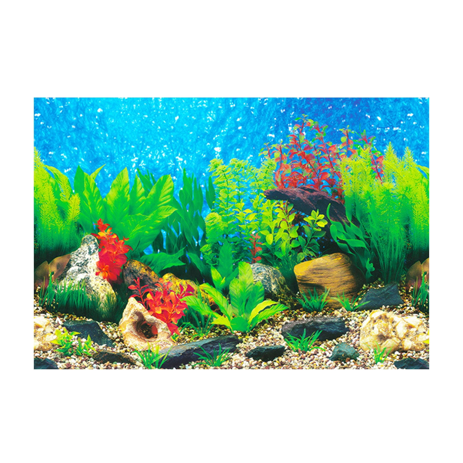 Zksm Double-Sided 3D Effect Aquarium Background - Clear Print ...