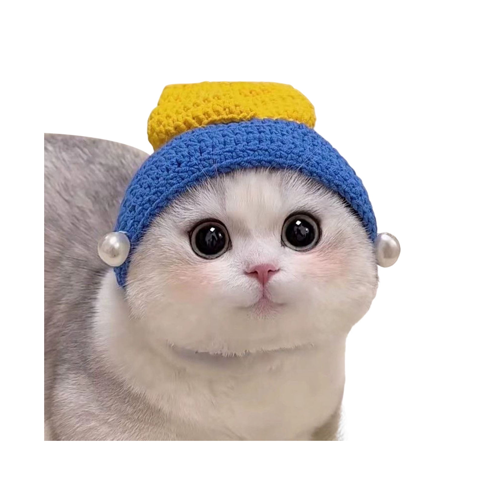 Zksm Knitted Pet Hat - Handmade Crochet Frog God of Wealth Costume ...