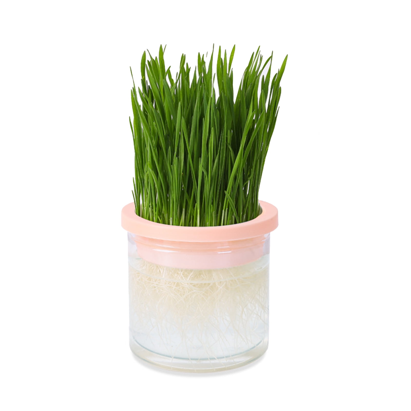 Zksm Plastic Catnip Planter - Ventilated - Fine Filter Hole ...