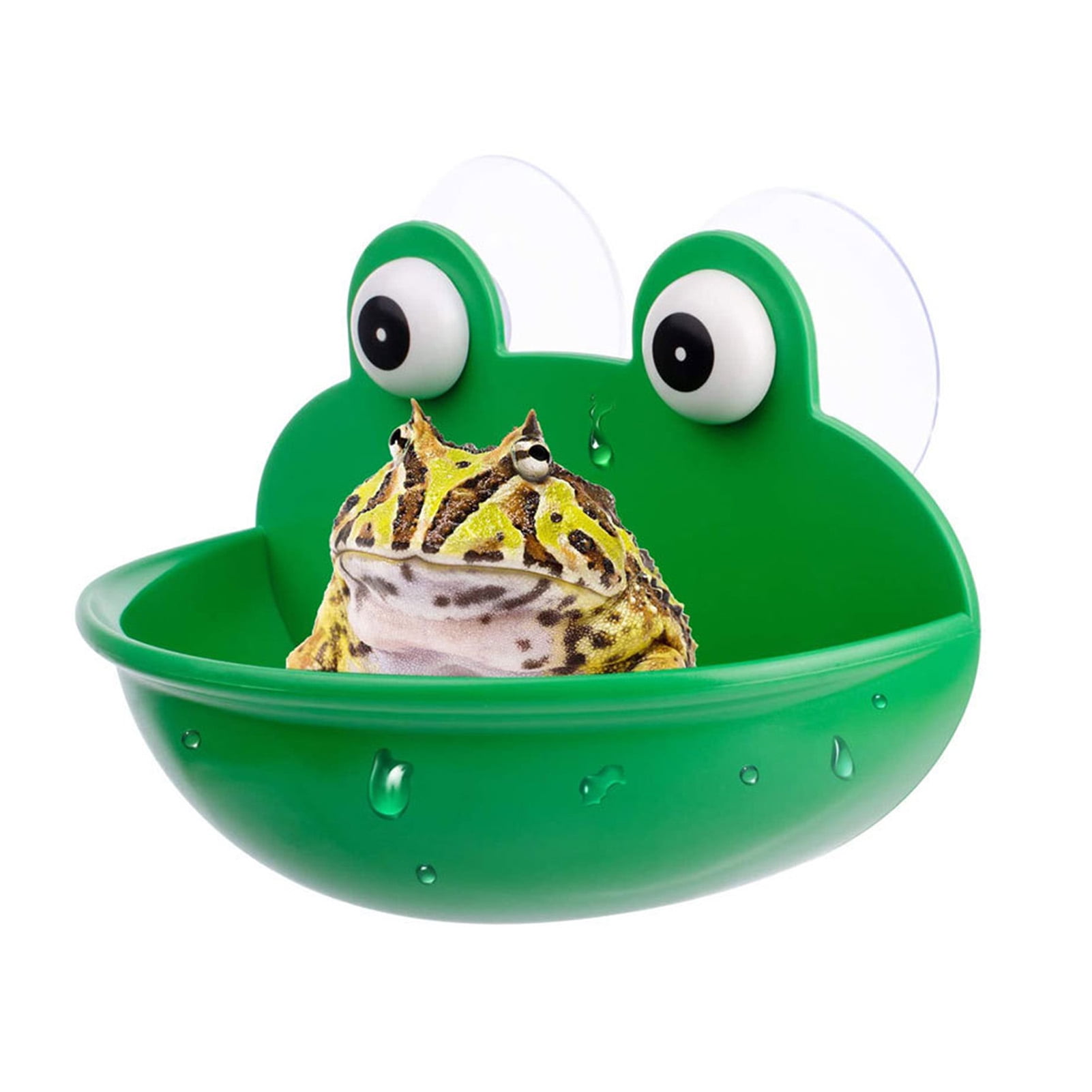 Zksm Reptile Feeder - Suction Cup Design - Plastic Frog Tortoise ...