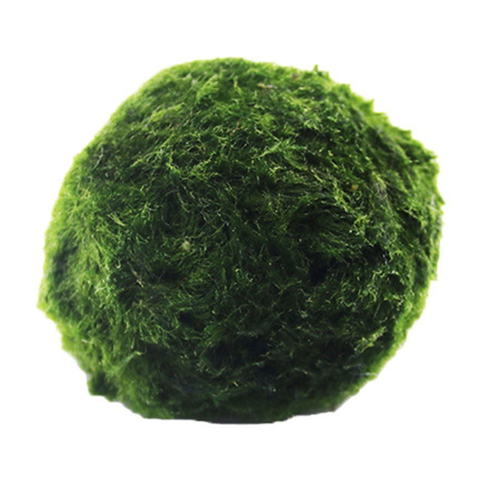 Zmeidao Artificial Aquarium Plastic Plants Grass Ball, Fish Tank ...