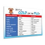 ZoCo: Cold versus Flu Poster - Laminated, 12"x18" - Walmart.com