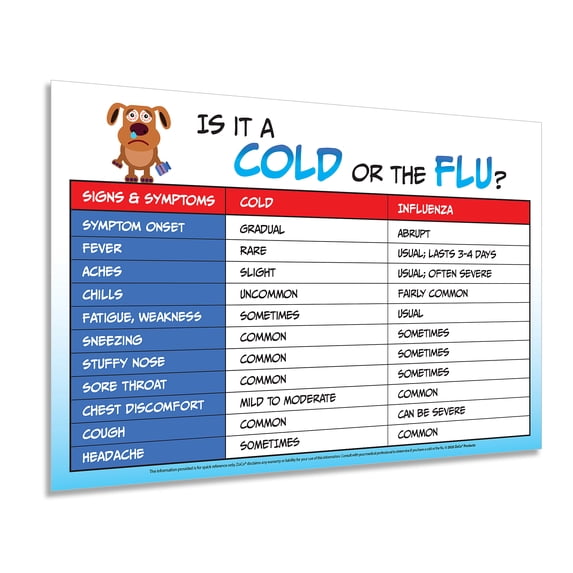 ZoCo: Cold versus Flu Poster - Laminated, 12"x18" - Walmart.com