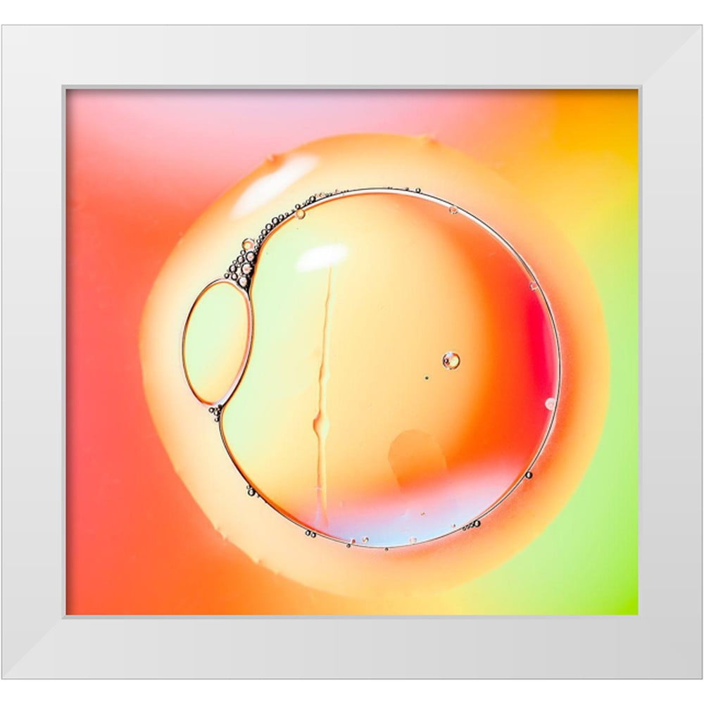 Zocchi, Alessandro 28x26 White Modern Wood Framed Museum Art Print ...