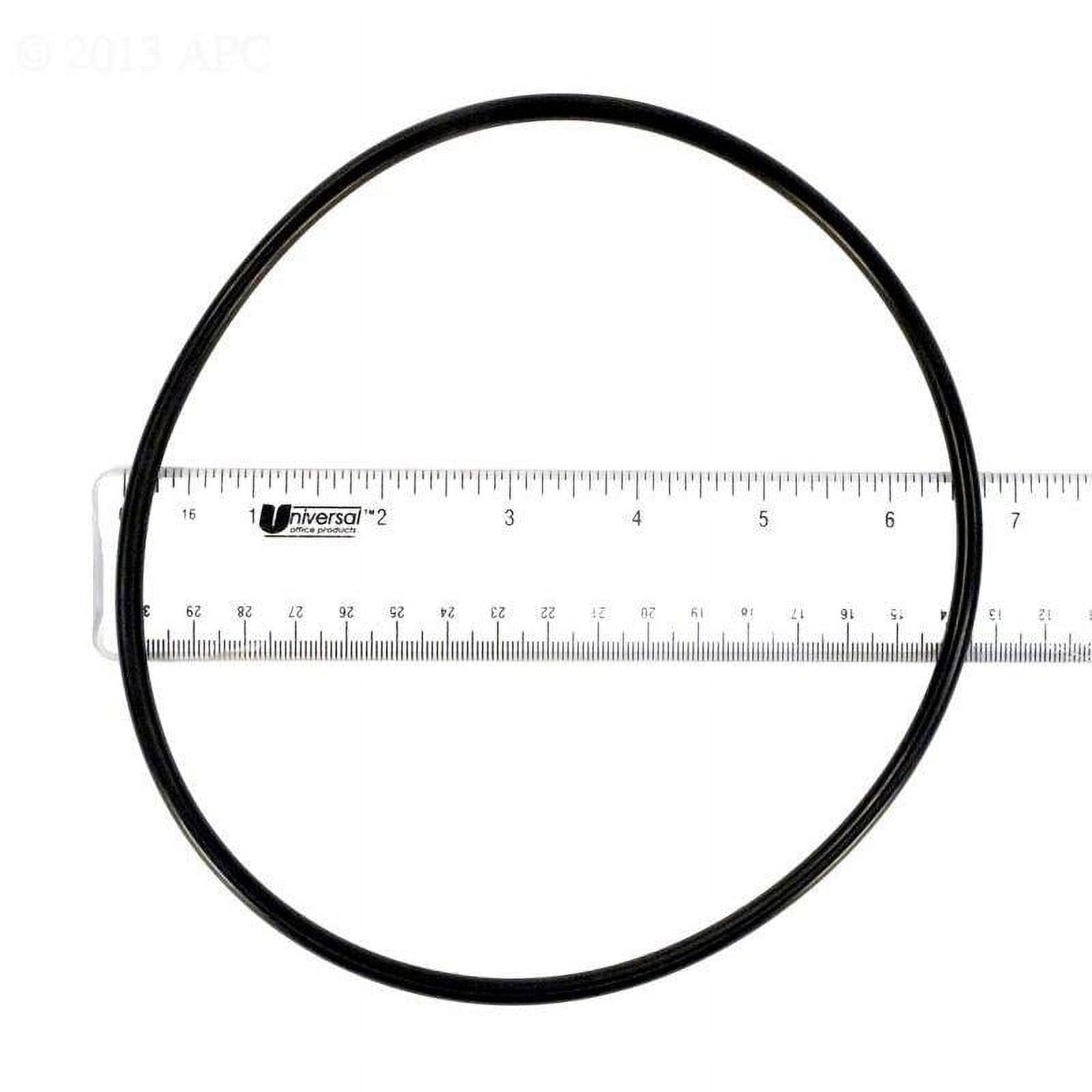Zodiac Jandy Pro Series O-Ring, Backplate, 60Hz Part # R0536600 ...
