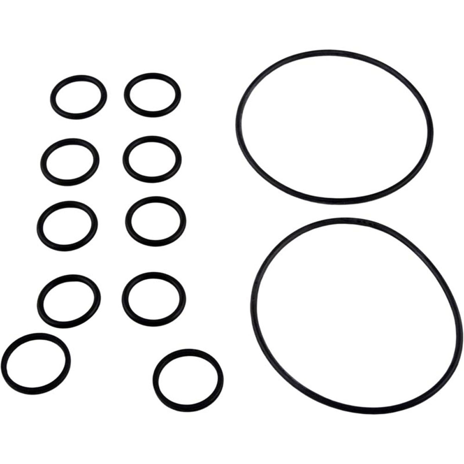 Zodiac Jandy/Teledyne Laars O-Ring Kit, Jandy NeverLube Backwash Valve ...