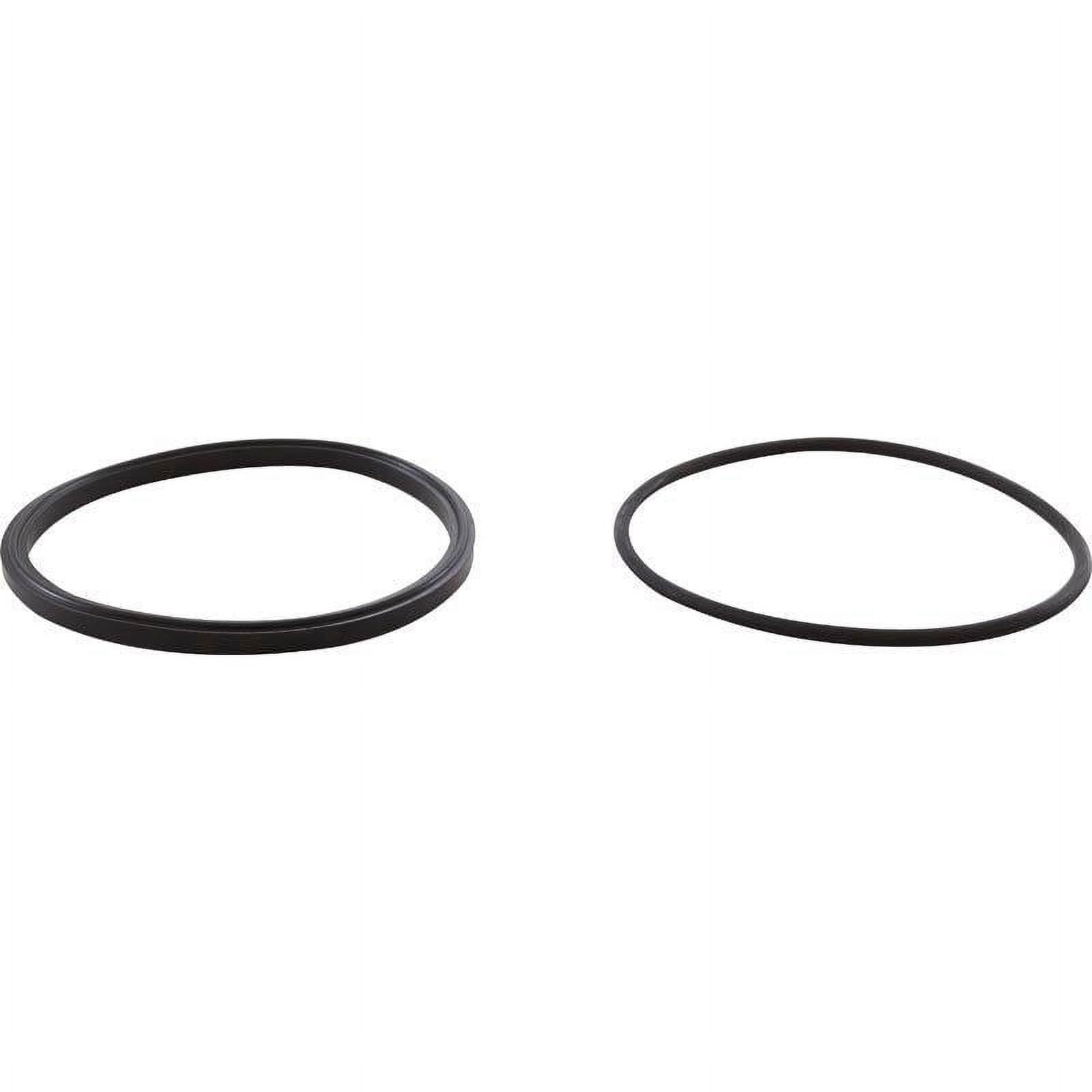 Zodiac Jandy/Teledyne Laars Trap Lid Seal, Jandy PHPF, w/O-Ring Part ...