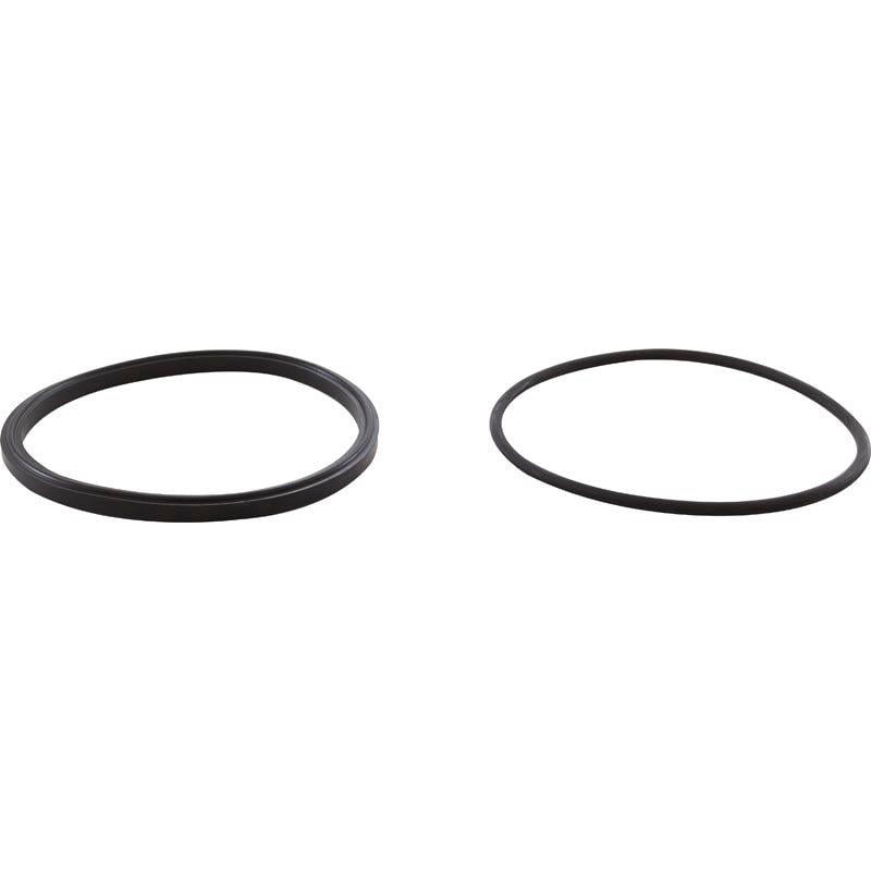 Zodiac Lid O-Ring R0449100 - Walmart.com