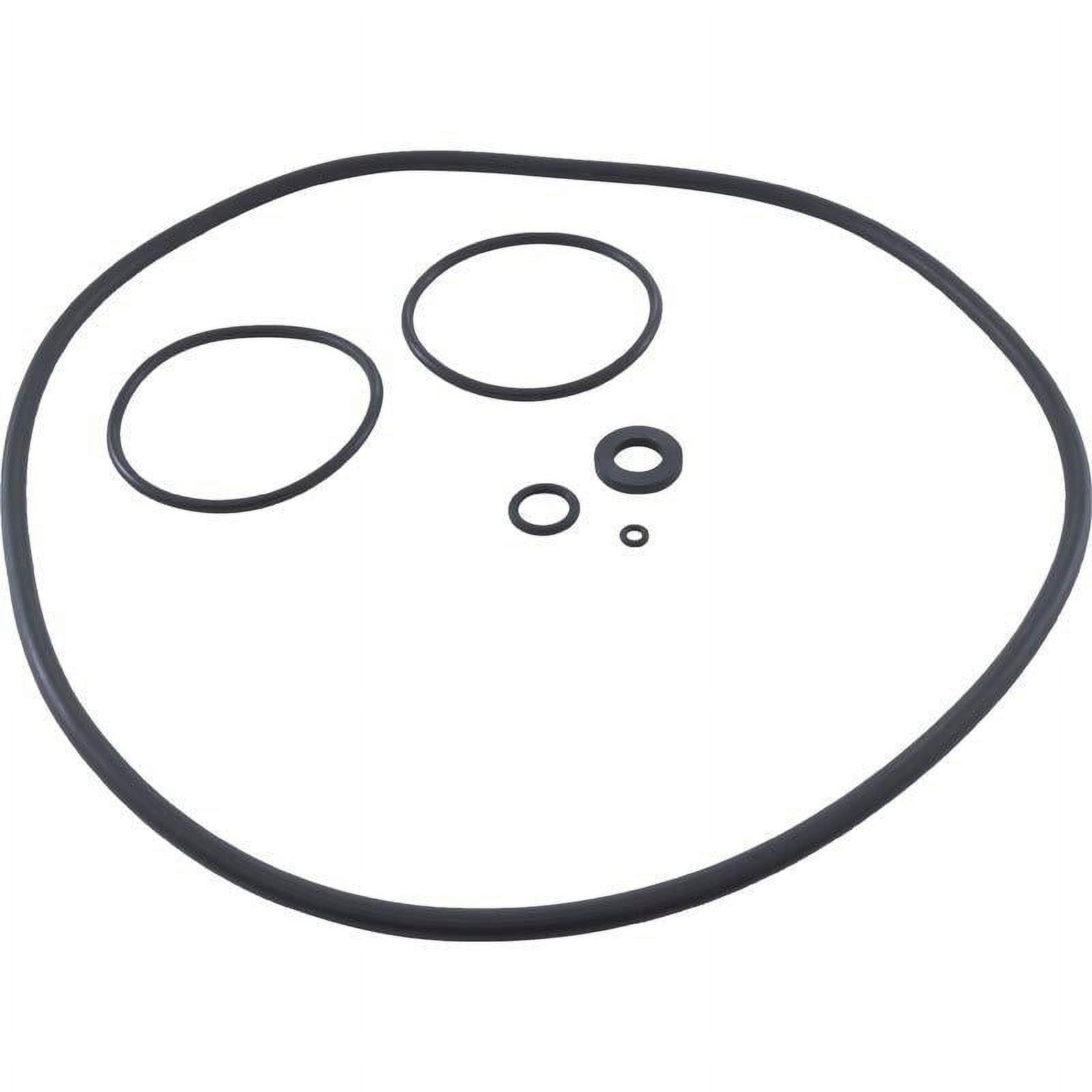 Zodiac O-Ring Set R0466300 - Walmart.com