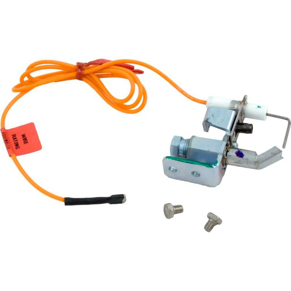 Zodiac Pilot Burner EPC-Lp Prop.+ W0038300 - Walmart Business Supplies