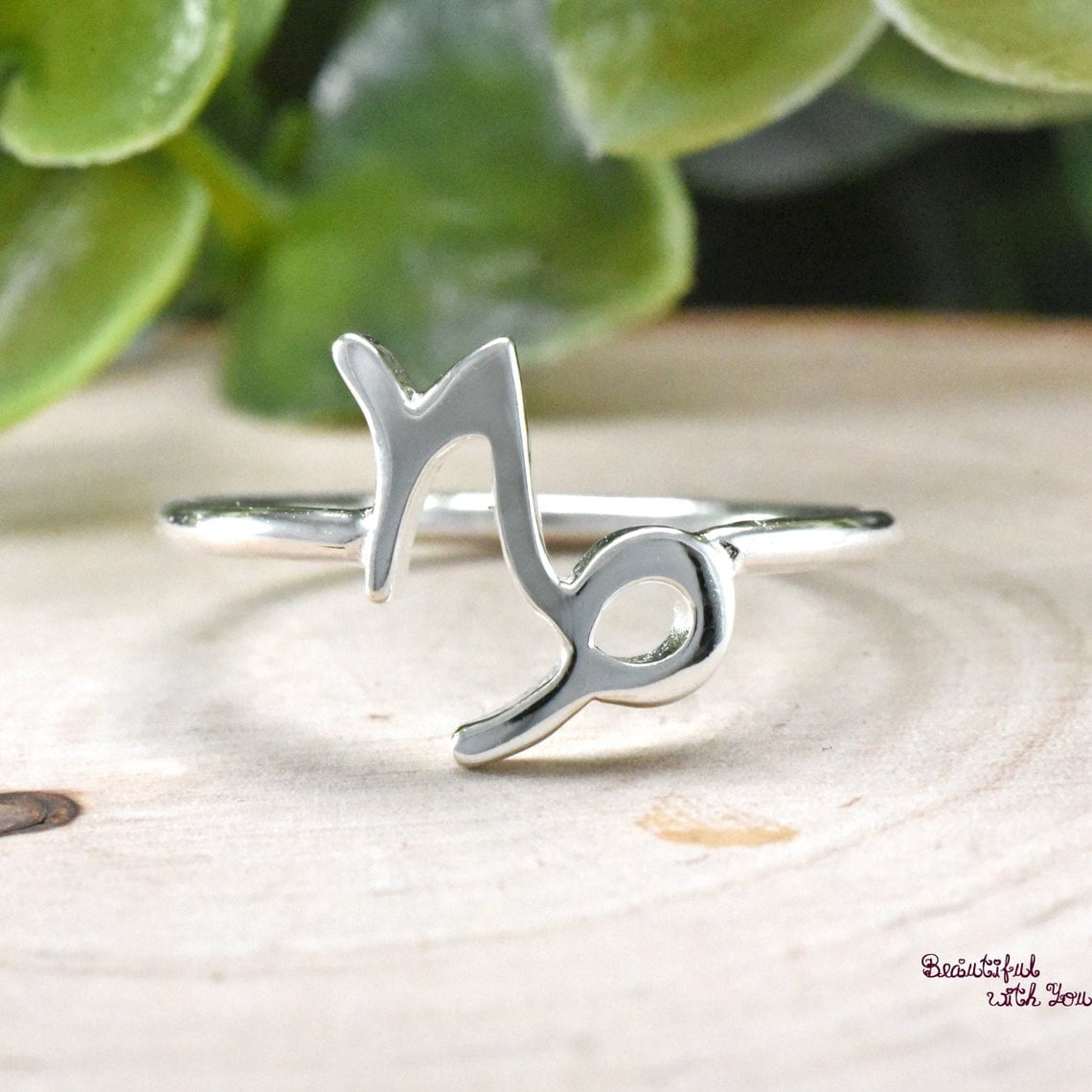 Zodiac Sign Ring, Capricorn Ring, Star Signs Ring, Birth Date Ring ...