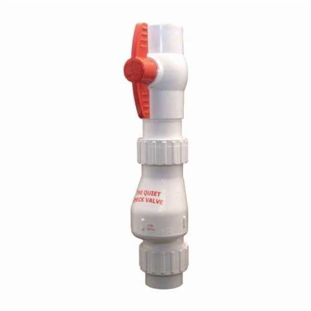Zoeller Silent Combo Swing Check Valve 2" 30-0236 - Walmart.com