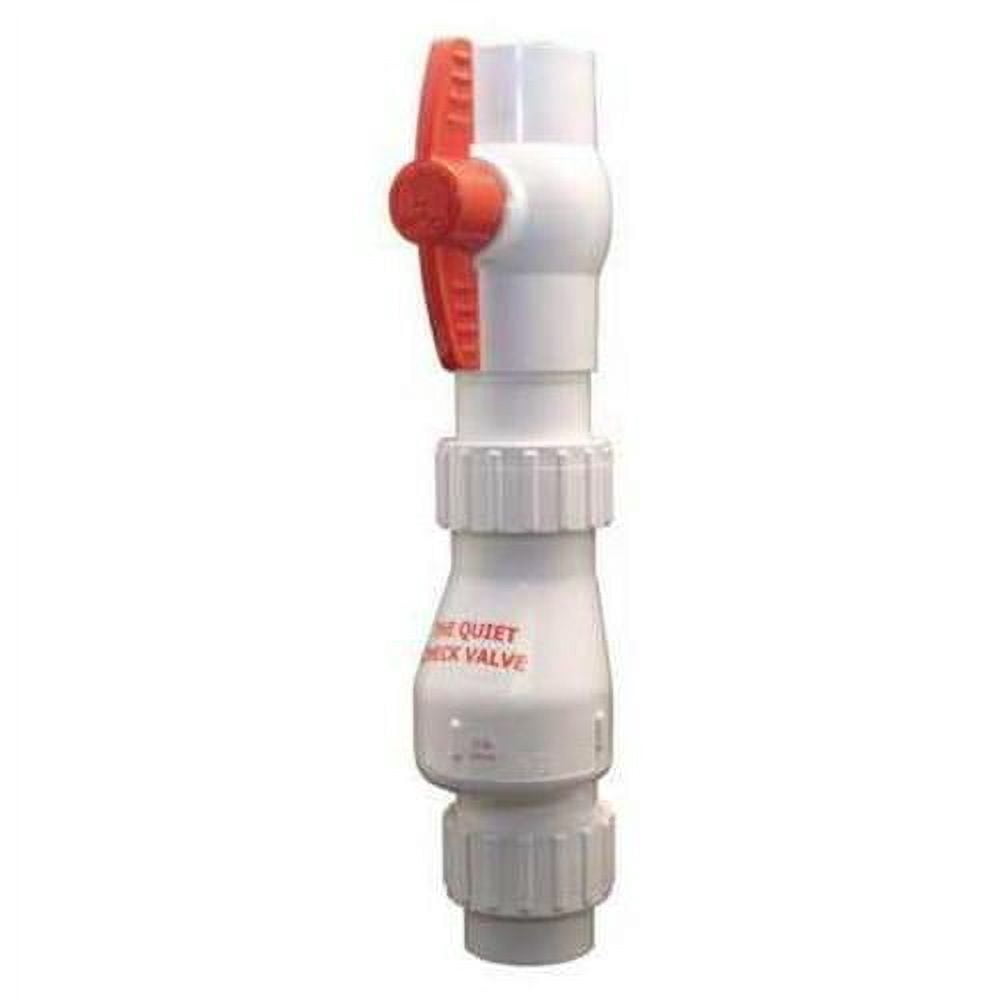 Zoeller Silent Combo Swing Check Valve 2 - Walmart.com