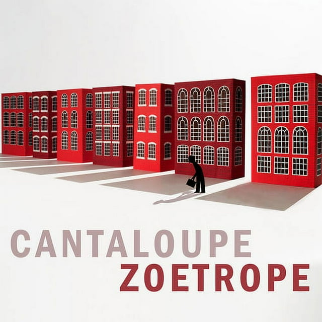 Zoetrope (Vinyl) - Walmart.com