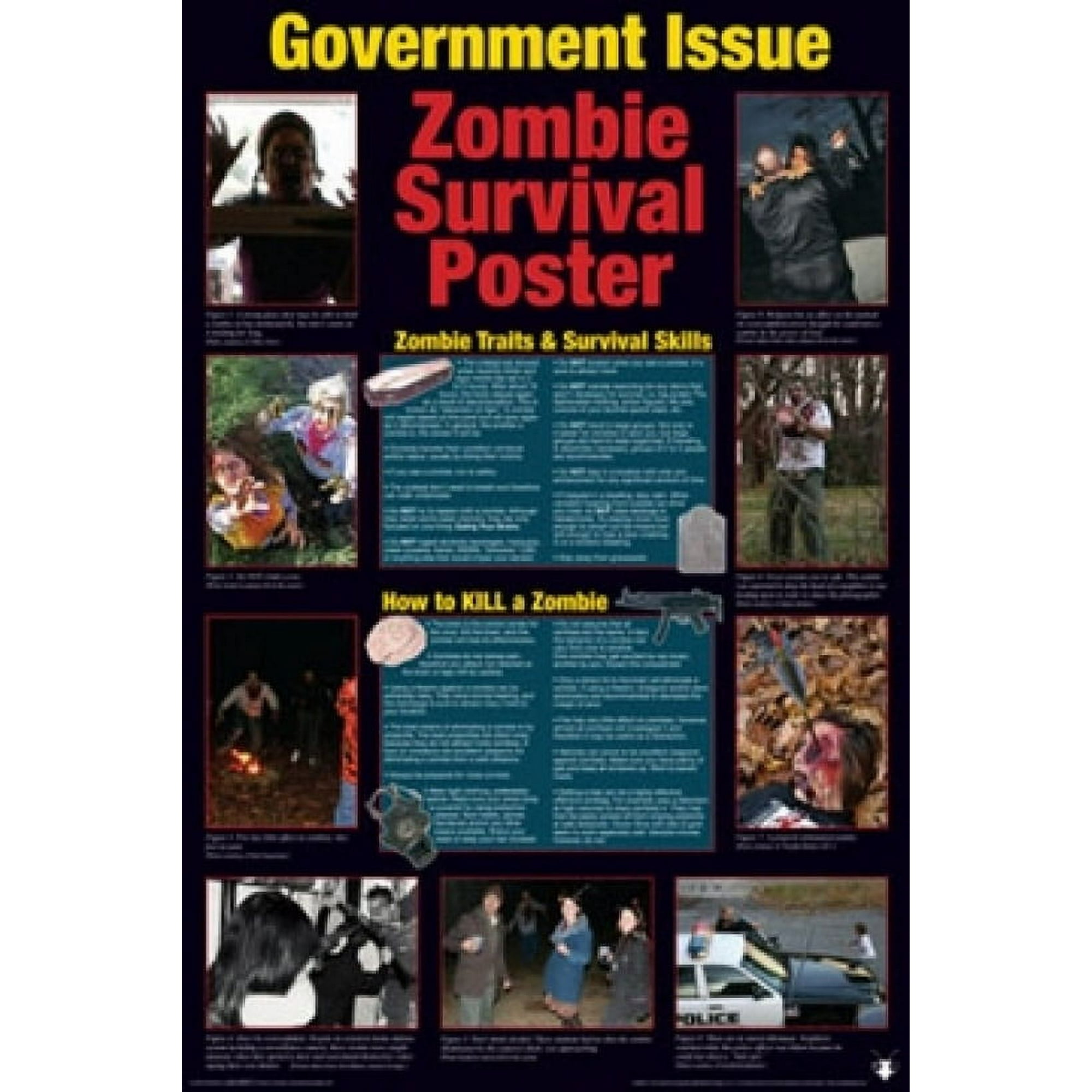 Zombie Apocalypse Survival Guide Poster