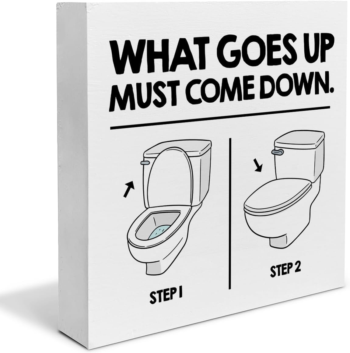 Zomyto 7x7 In Funny Toilet Seat Sign Bathroom Wooden Box Sign What Goes ...