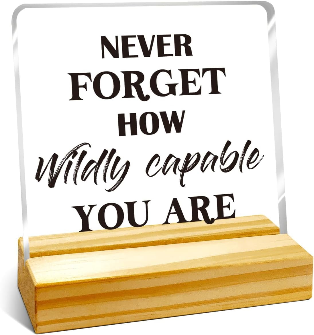 Zomyto Inspirational Acrylic Desk Signs for Office,Acrylic Motivational ...