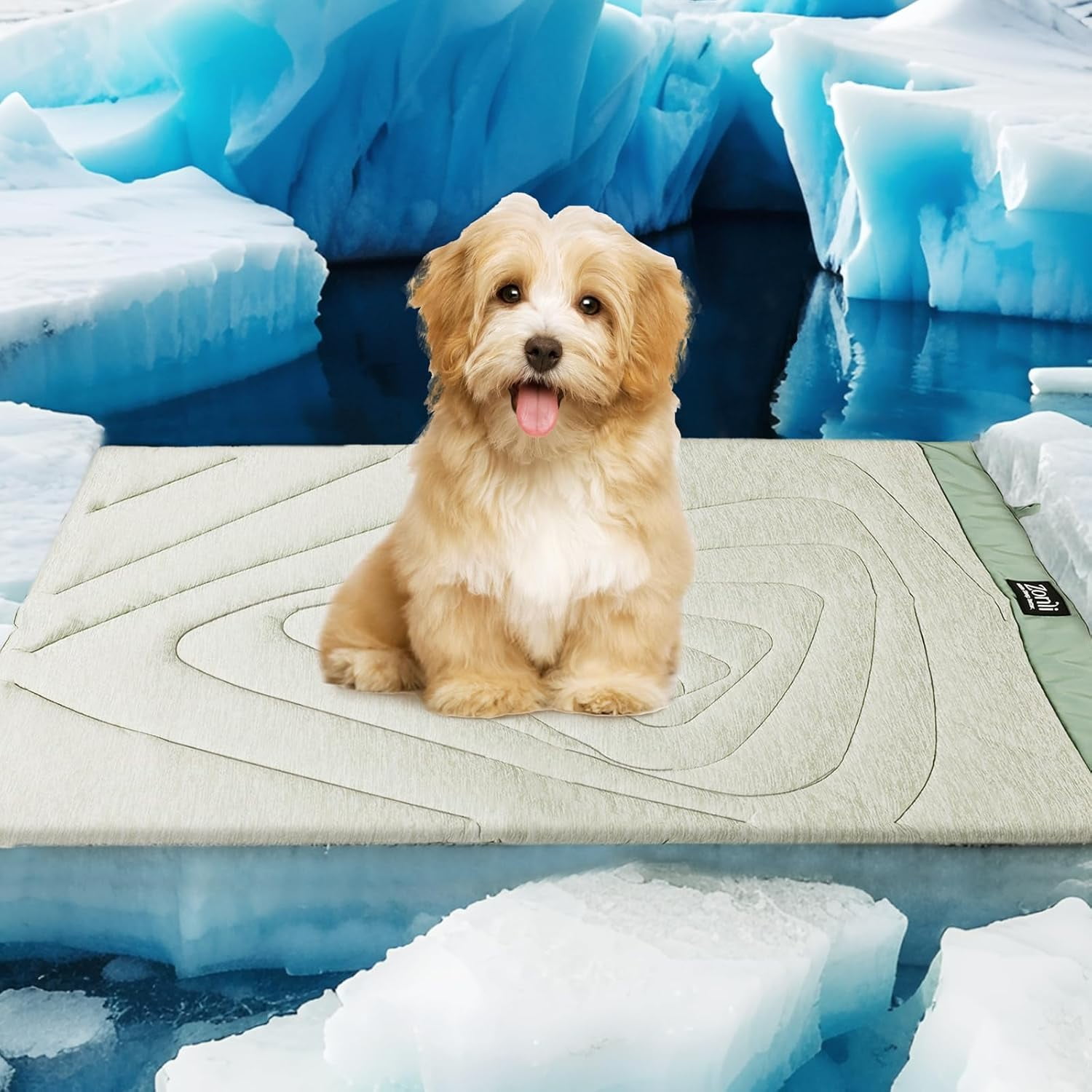 ZonLi Dog Cooling Mat, 40" x 27"Medium, Waterproof Cooling Pad for Dogs ...