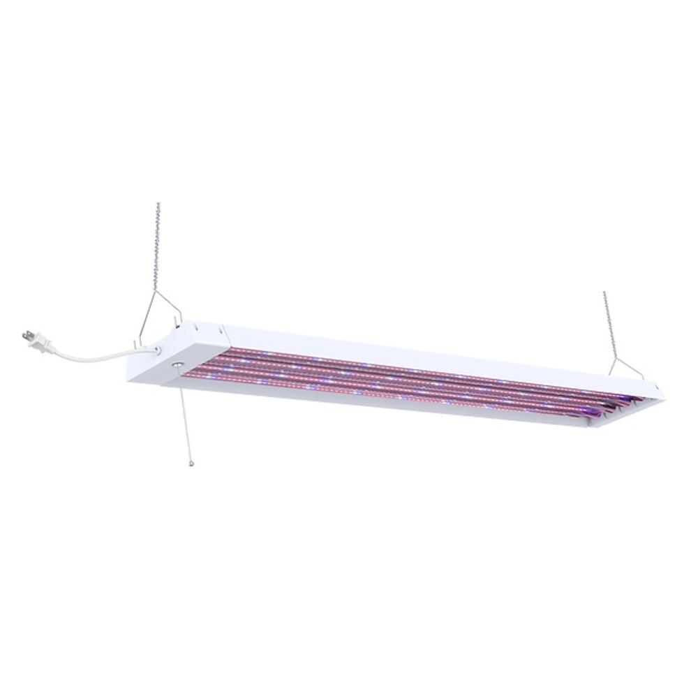 Zone Industry Corp. LED Grow Light, 50W, Full Spectrum Indoor Use ...