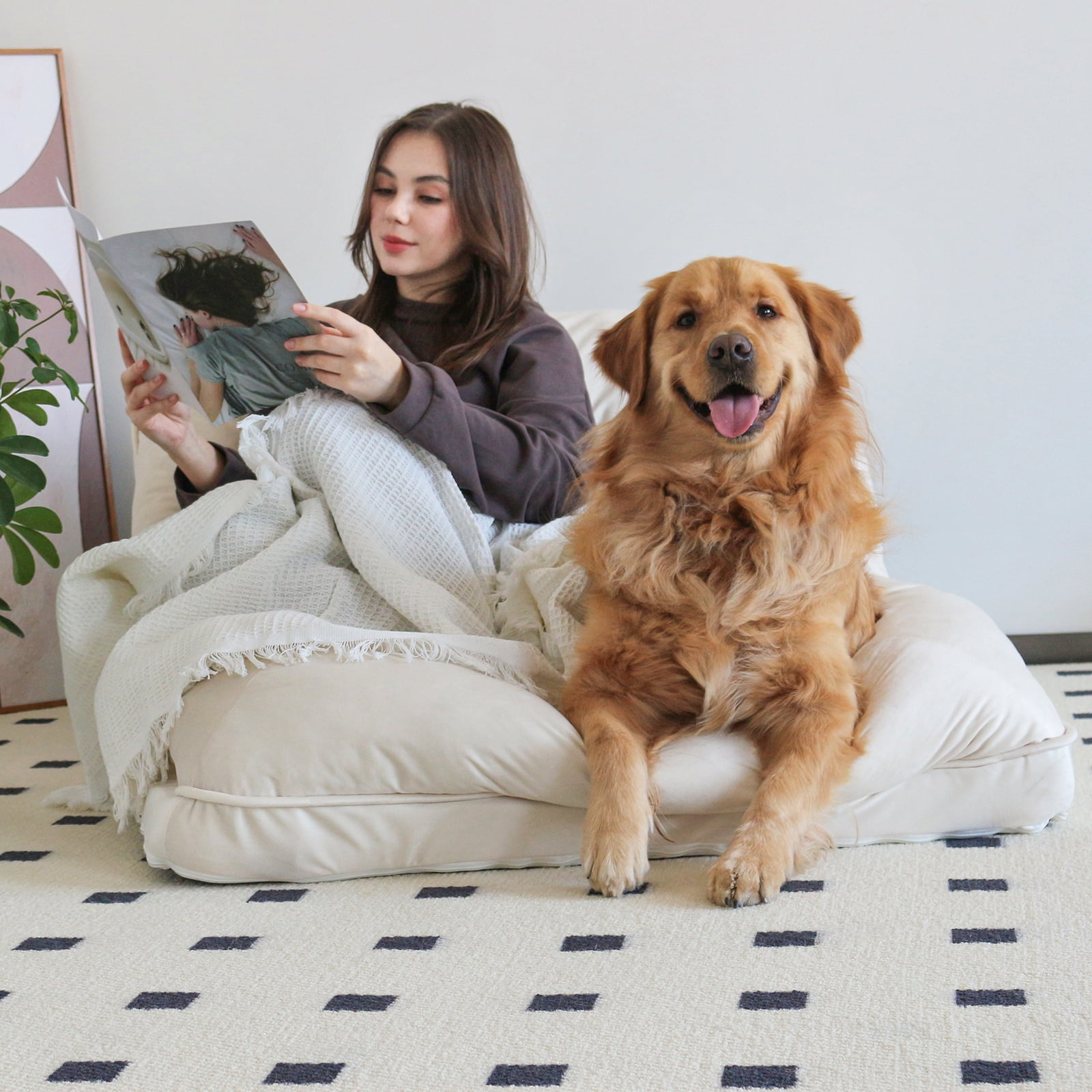 Zonemagic Dog Bed for Humans,Folding Balcony Bedroom Small Sofa Lounge ...