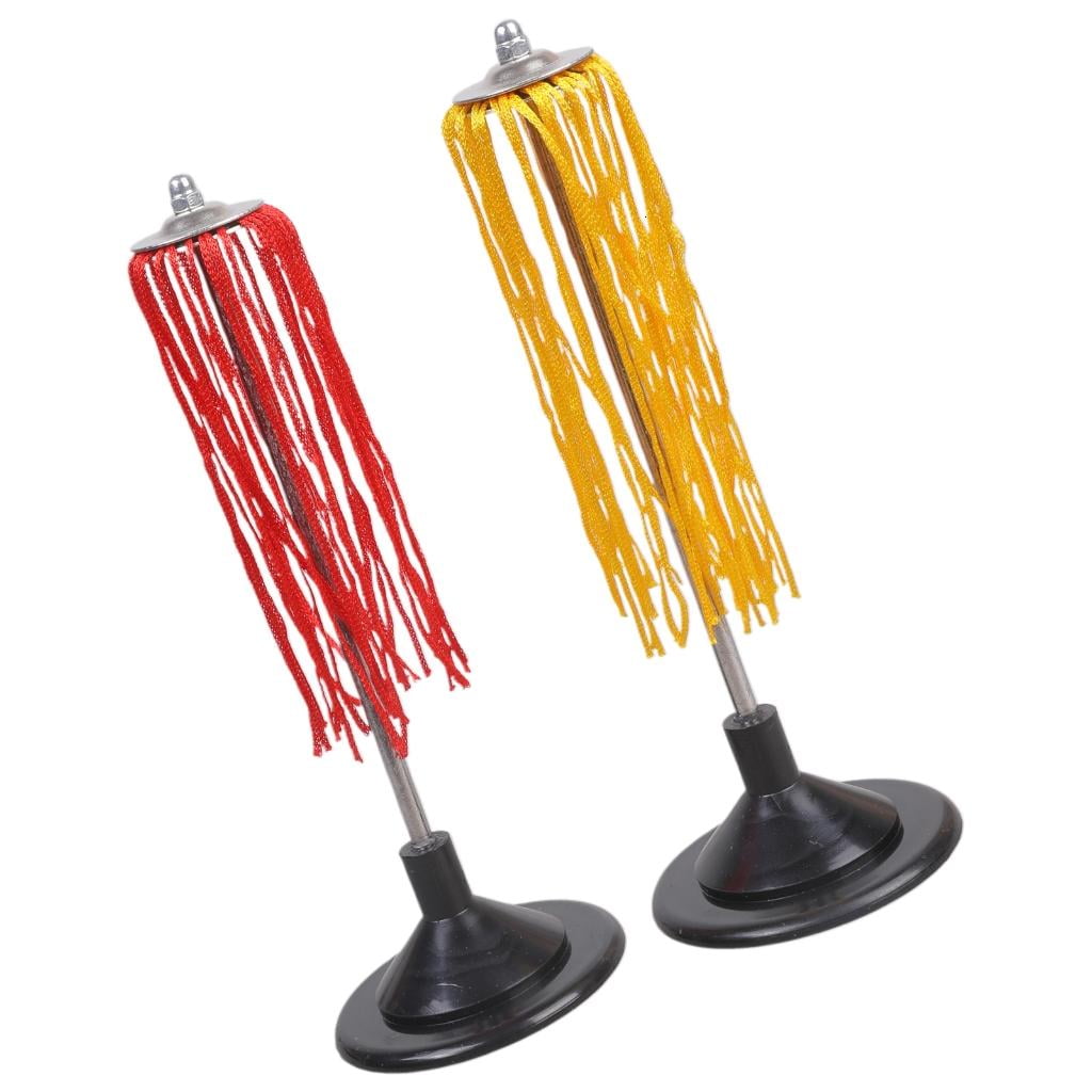 Zonest Educational Electricity Electroscope Physics Electrostatic ...