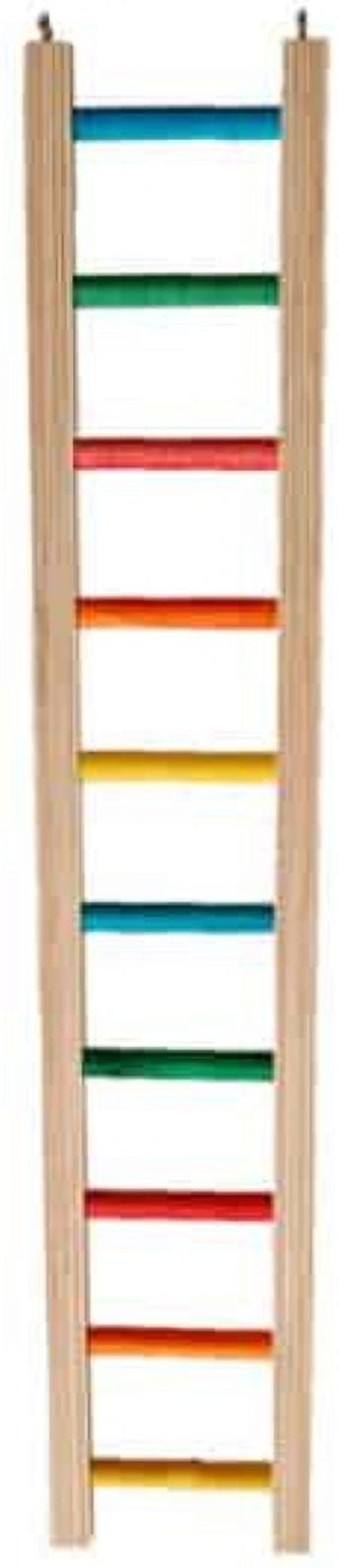 Zoo-Max Hardwood Bird Ladder 2' [Bird Interactive Toys, Bird Supplies ...