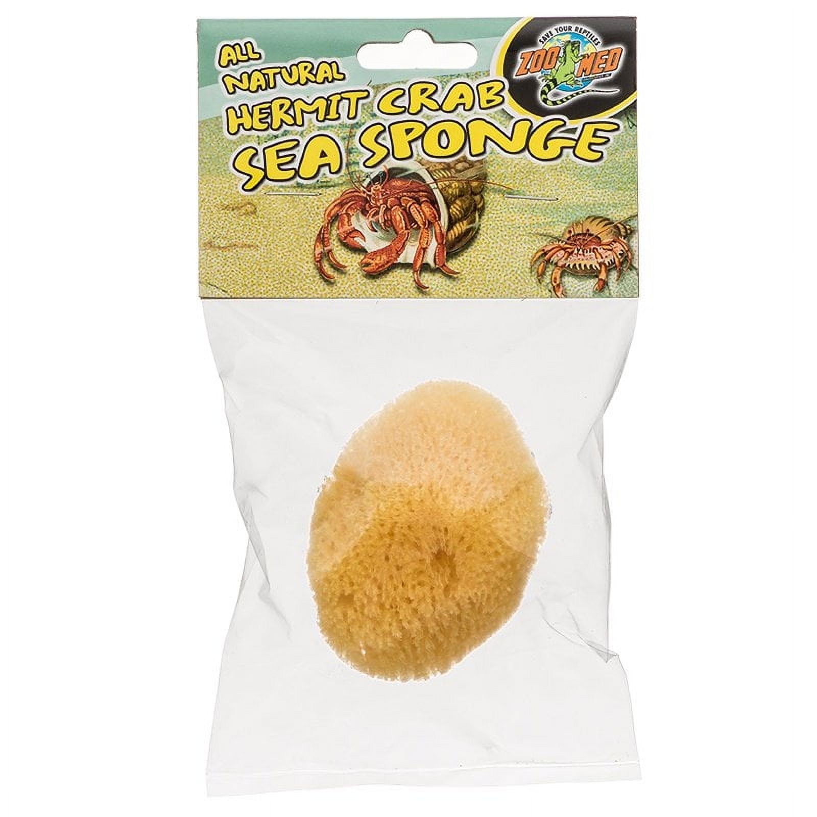 Zoo Med All Natural Hermit Crab Sea Sponge [Reptile Feeding Tongs ...